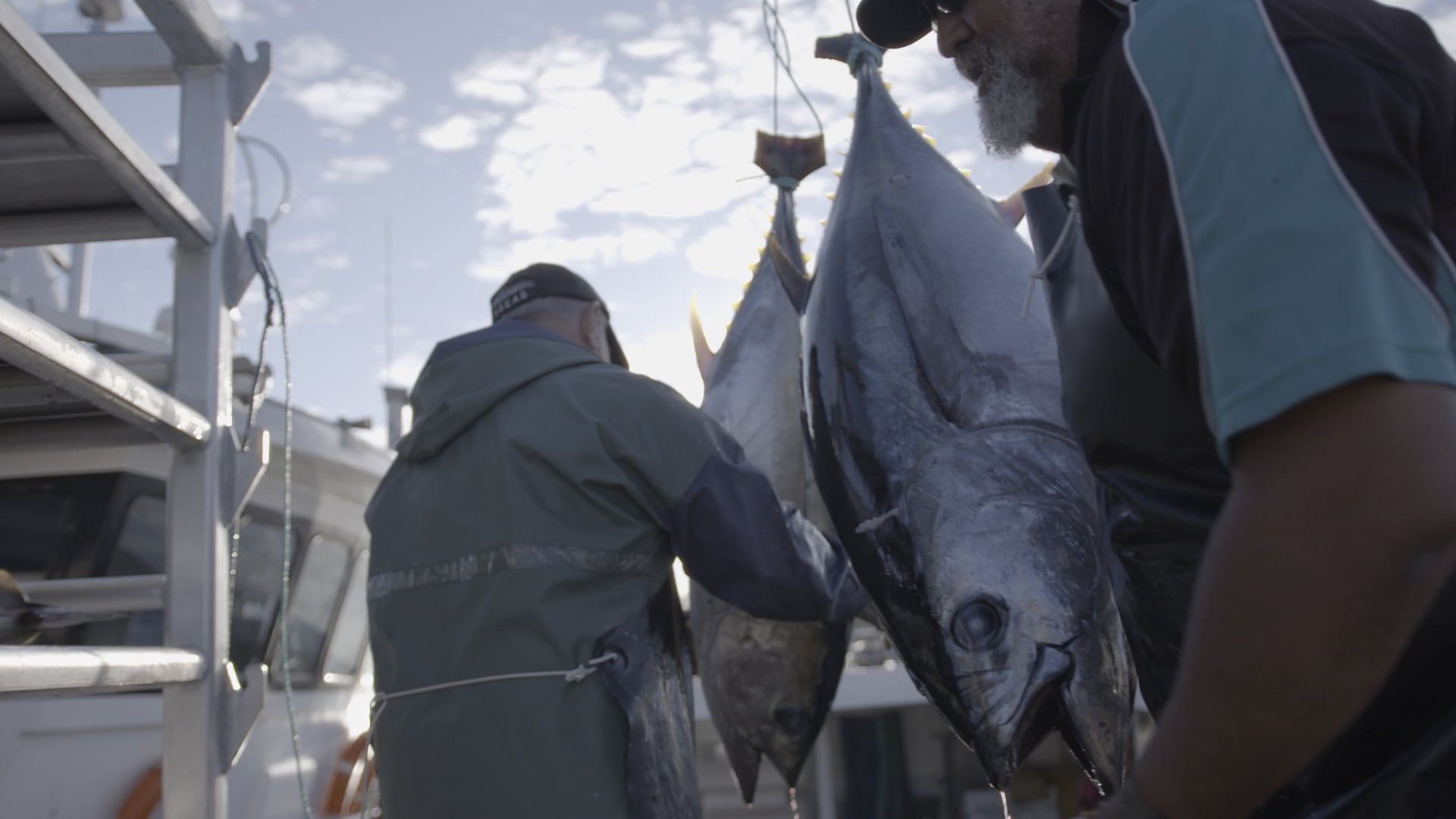 Crew safety at the forefront in new Tuna Australia research project ...