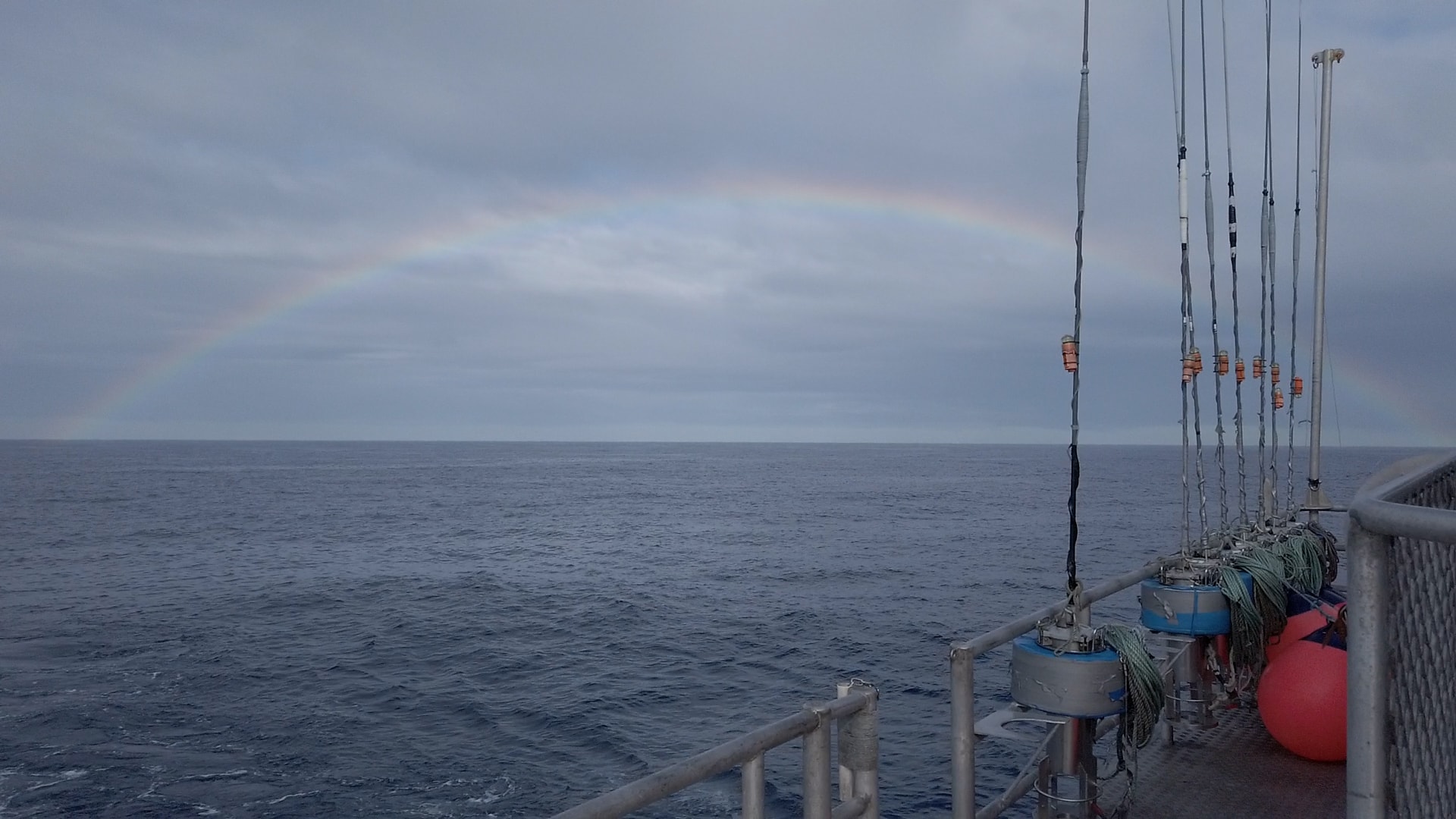 Western Tuna and Billfish Fishery - Tuna Australia