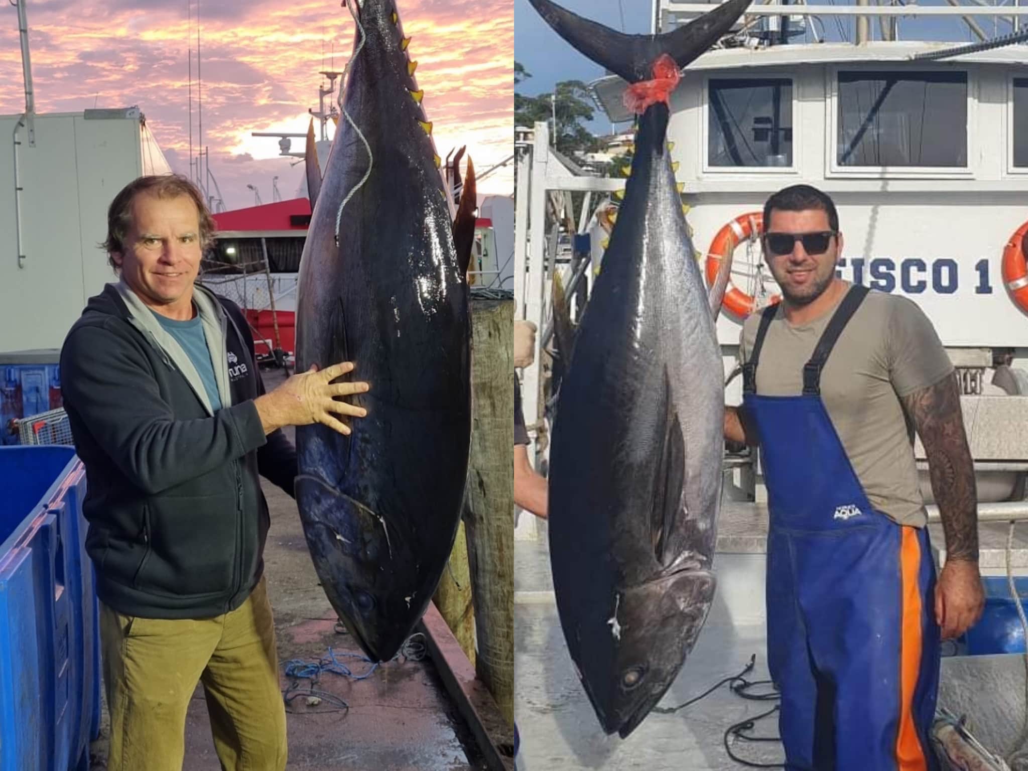 Industry investor and young newcomer join Tuna Australia Board - Tuna ...