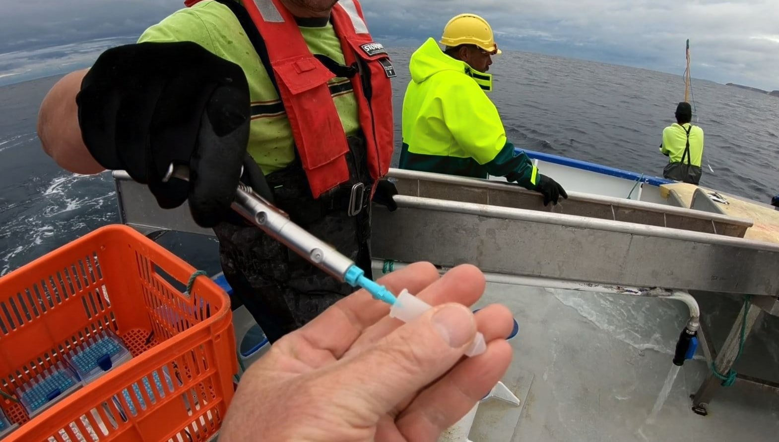 Keeping tuna sustainable - Tuna Australia