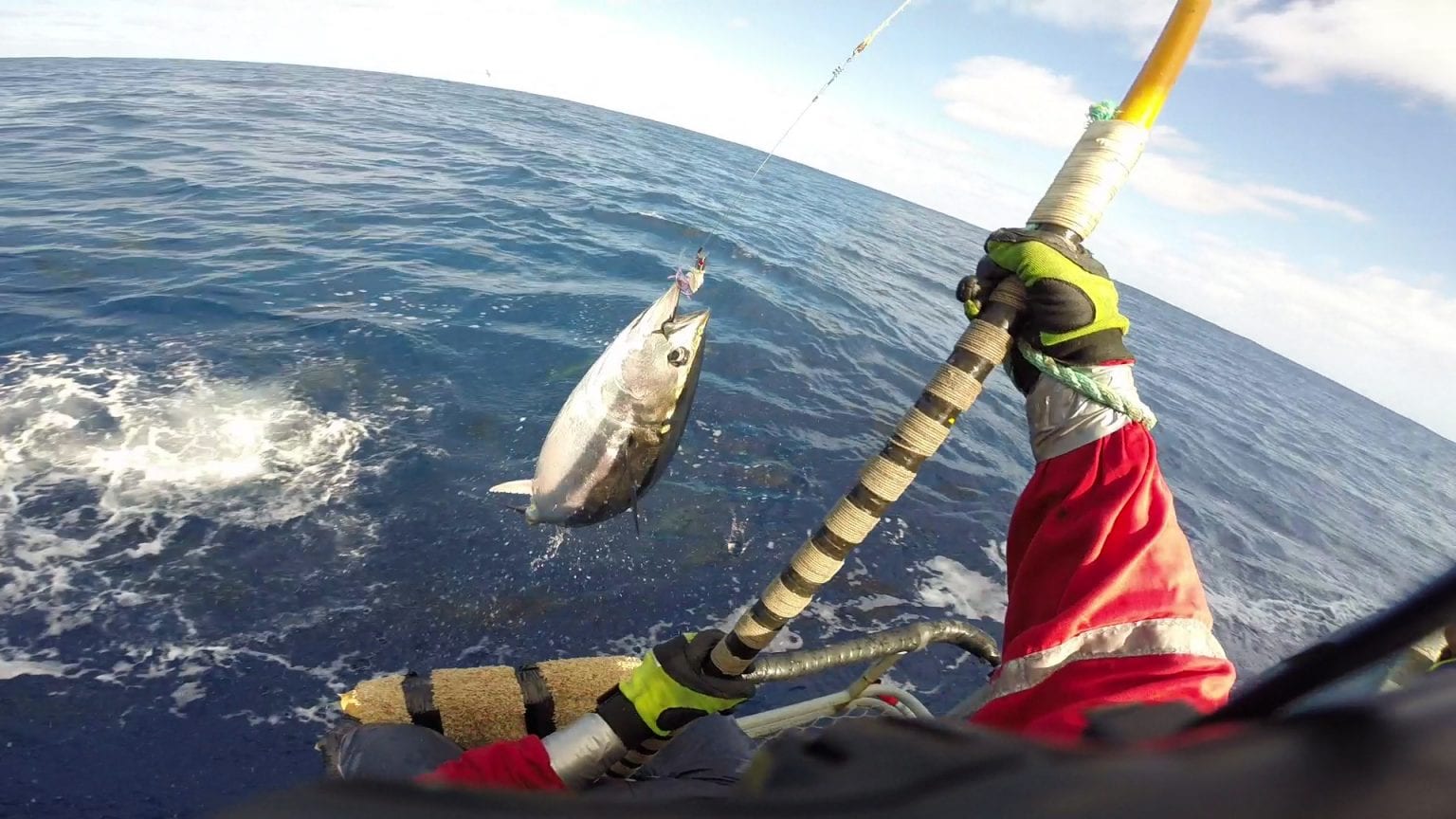 Keeping tuna sustainable - Tuna Australia