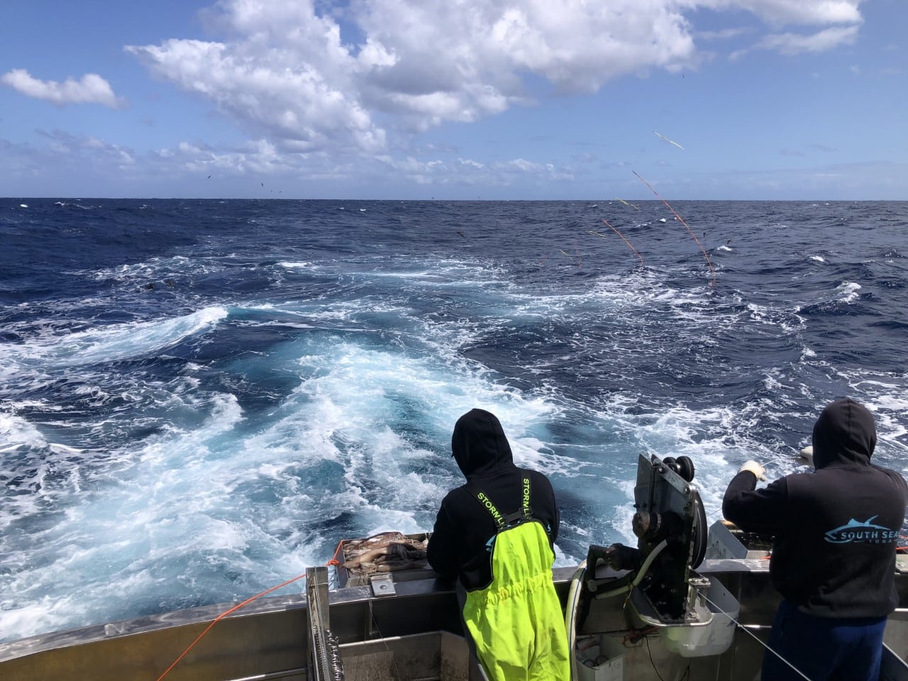 World-leading research to better manage wildlife interactions - Tuna ...